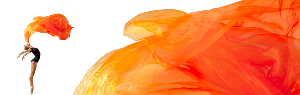 Body Gears Physical Therapy - Body Gears Physical Therapy